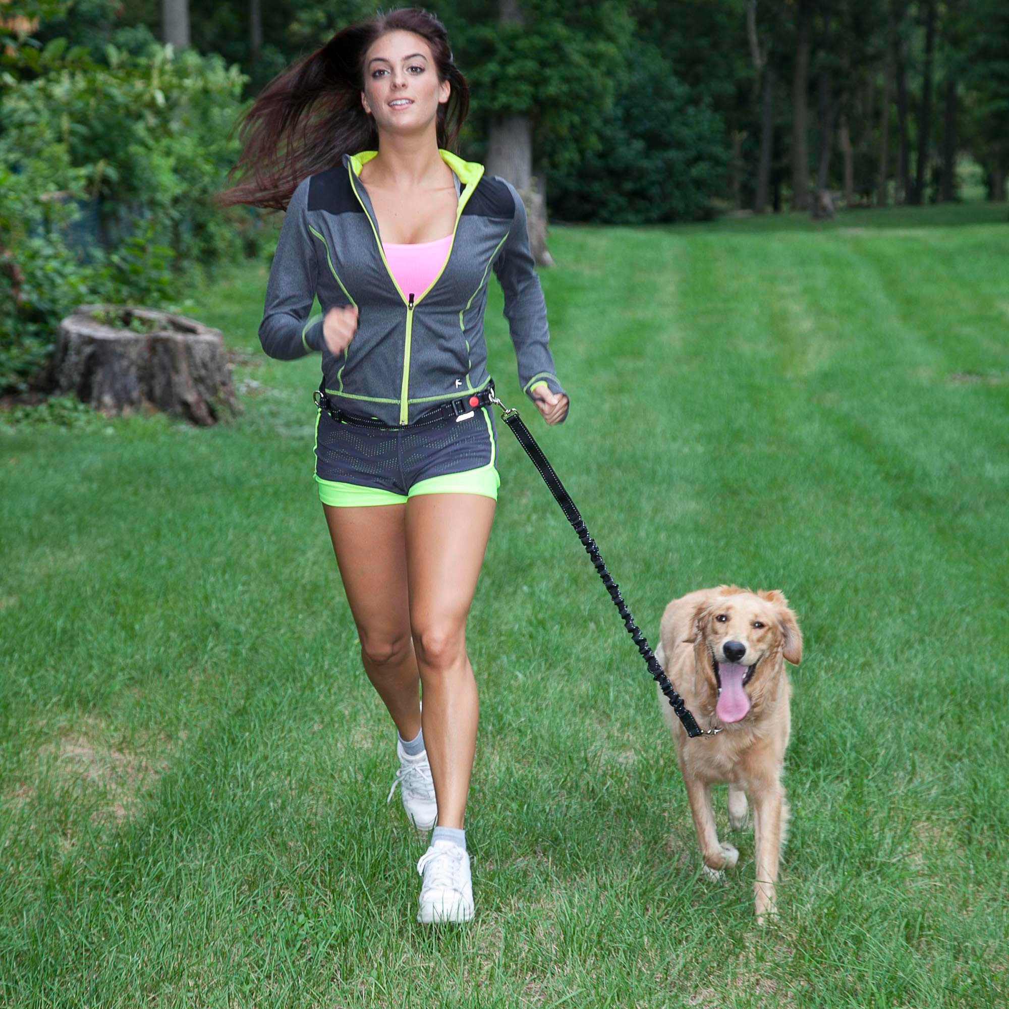 LucyBelle Pets Hands-Free Running Dog Leash – Zulily