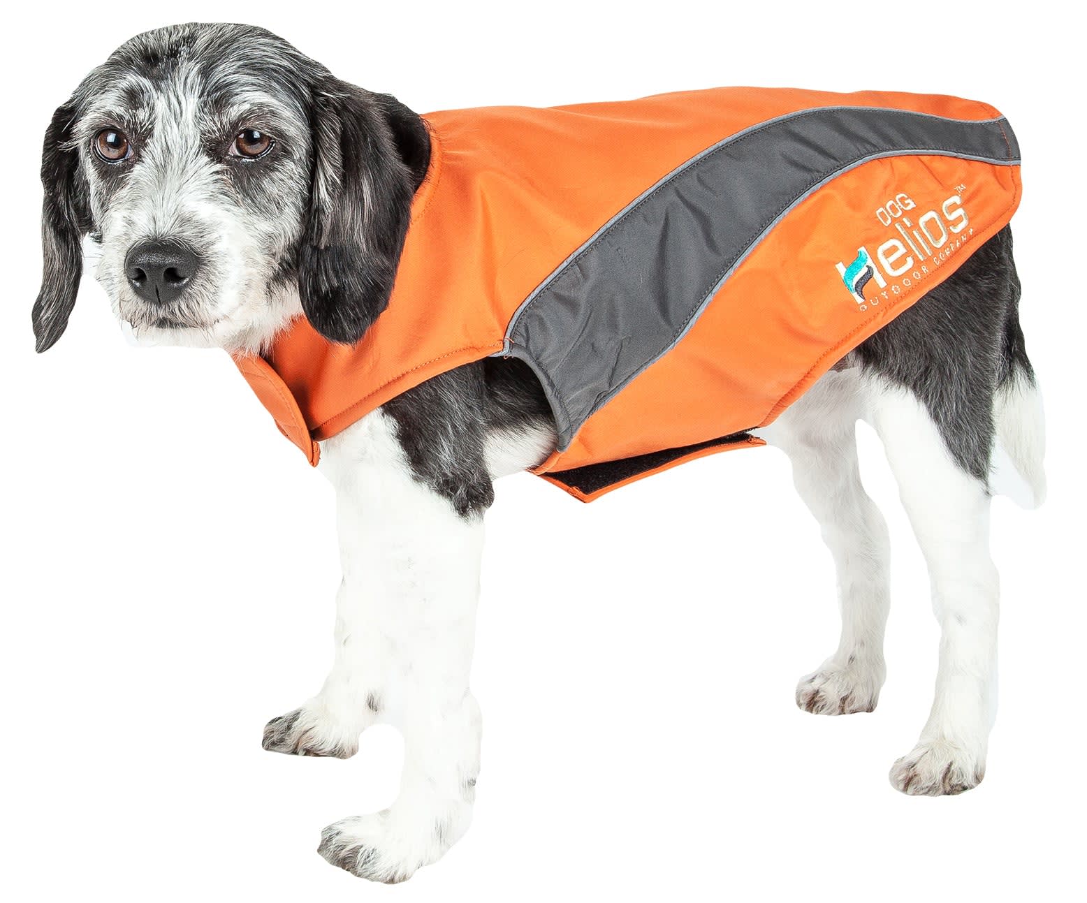 Pet Life Dog Helios Octane Softshell Neoprene Satin Reflective Dog Jac ...