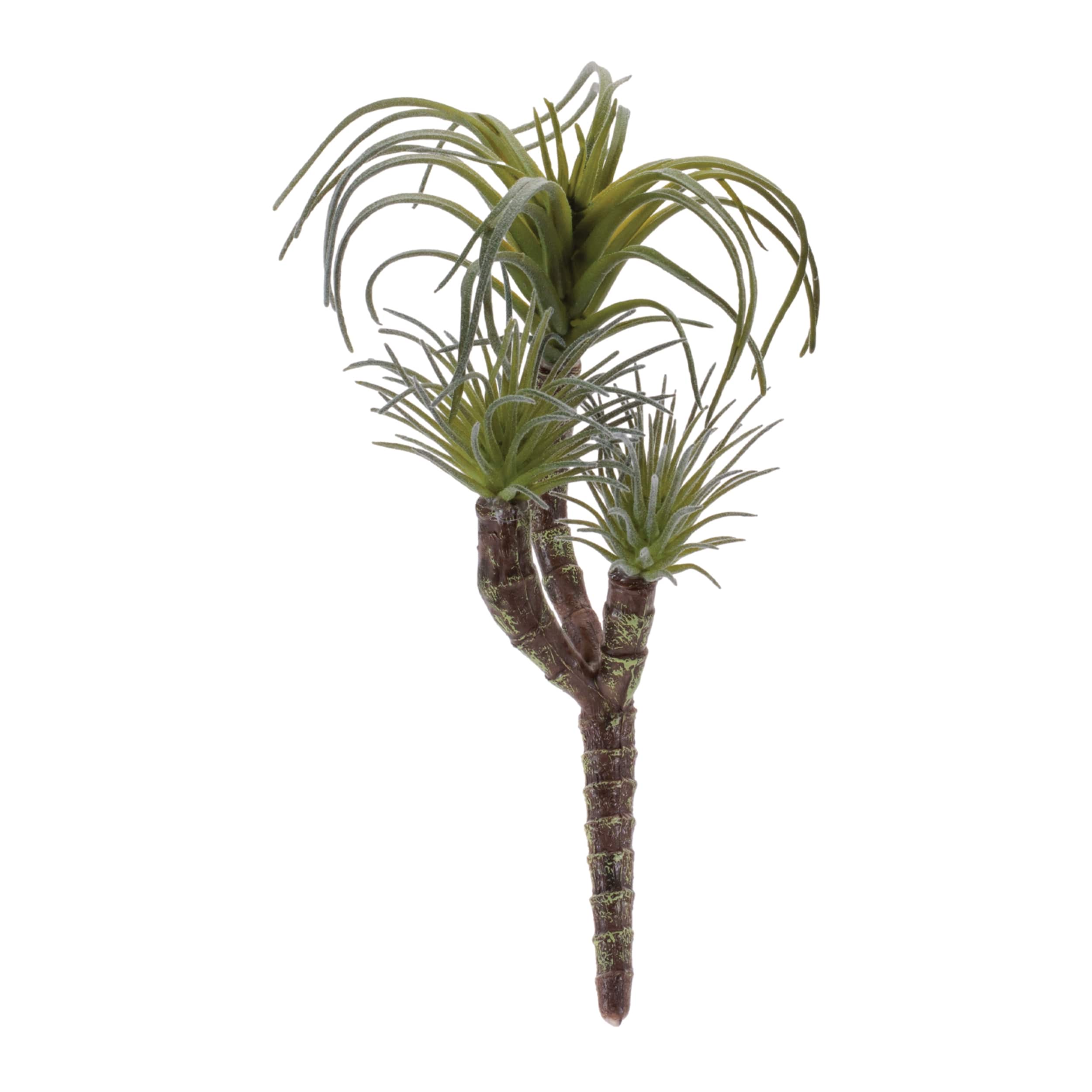 Melrose International Air Plant Succulent Pick (Set of 6) – Zulily