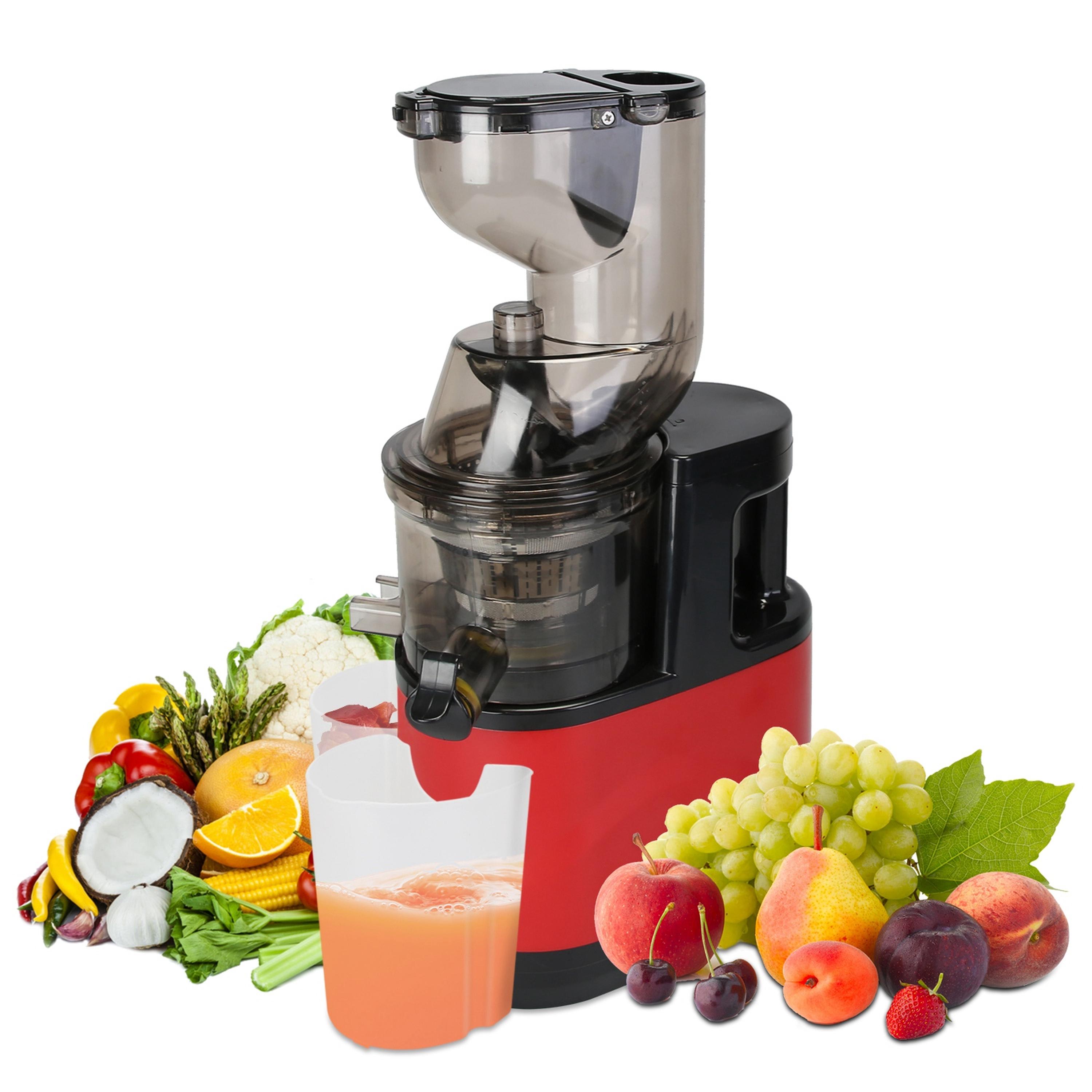 Fresh Fab Finds Cold Press Juicer Machine 300W Electric Slow Masticati ...