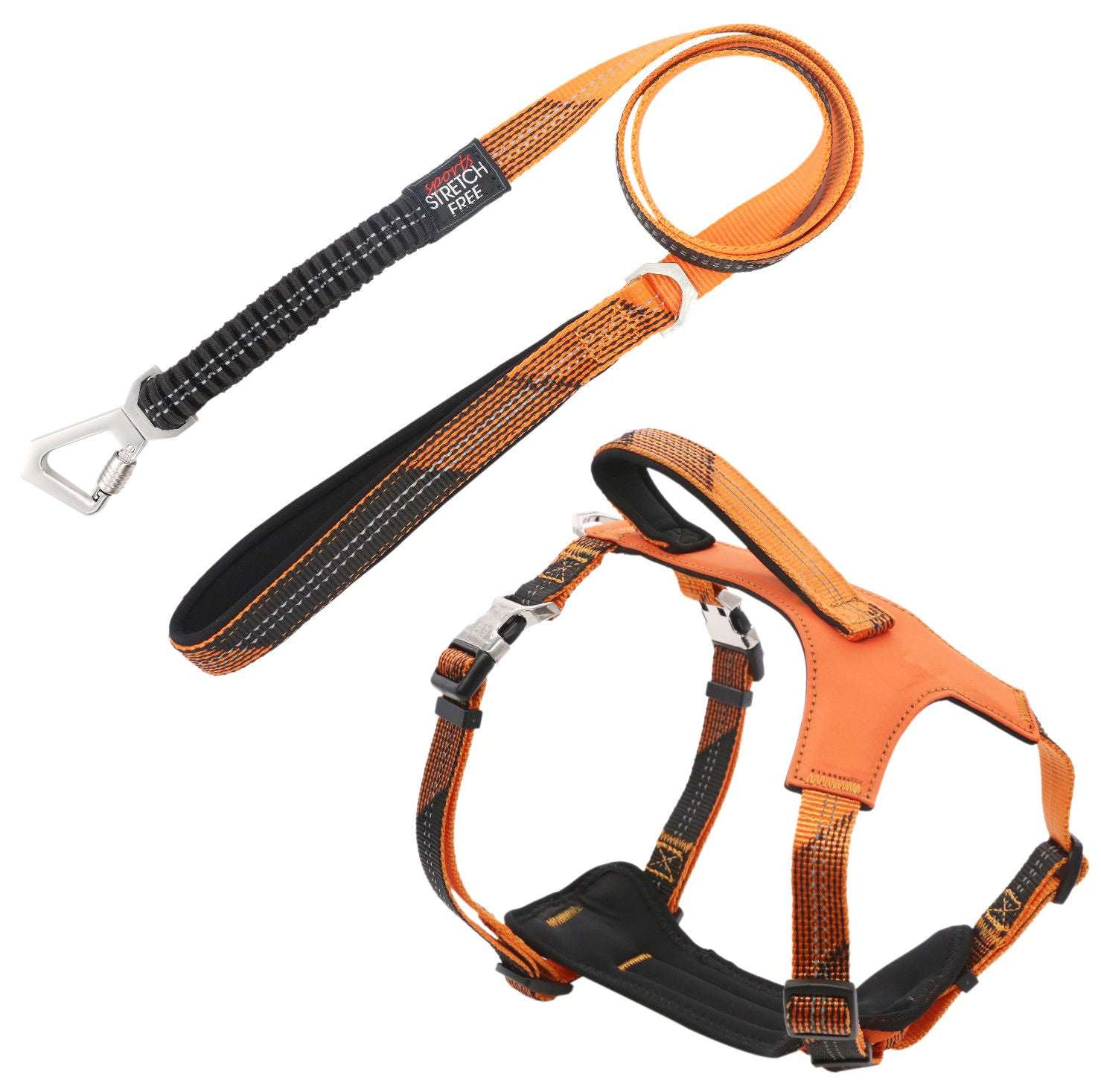 Pet Life 'Geo-prene' 2-in-1 Shock Absorbing Neoprene Padded Reflective ...
